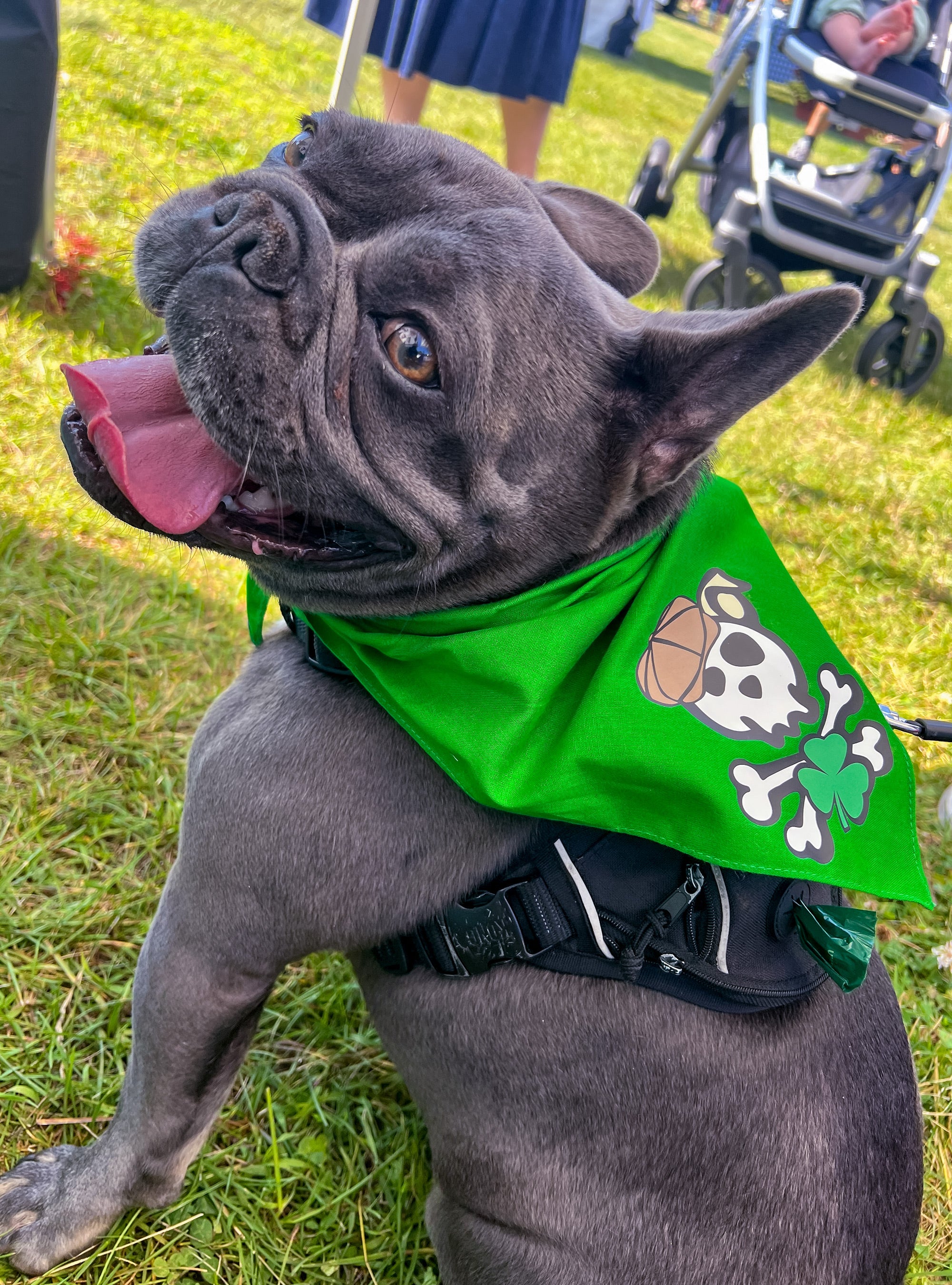 Skull & Dogbones Irish Bandana – RACKETPACK
